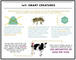 IoT Infographic